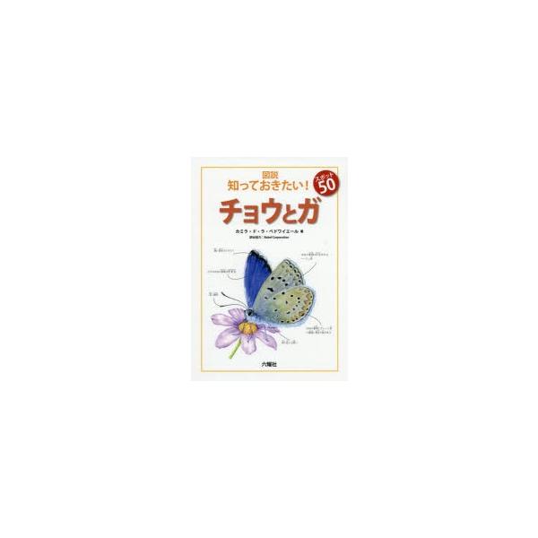 本 ISBN:9784897378398 カミラ・ド・ラ・ベドワイエール／著 Babel Corporation／訳出協力 出版社:六耀社 出版年月:2016年08月 サイズ:56P 27cm 児童 ≫ 学習 [ シリーズもの ] 原タイト...