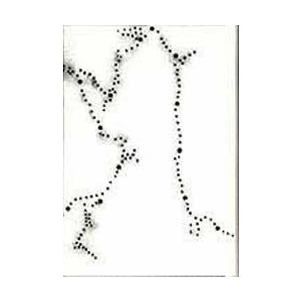 本 ISBN:9784915841217 マルセル・デュシャン／著 ミシェル・サヌイエ／編 北山研二／訳 出版社:未知谷 出版年月:1995年07月 サイズ:490P 図版16P 20cm 芸術 ≫ 芸術・美術一般 [ 芸術・美術一般その他...