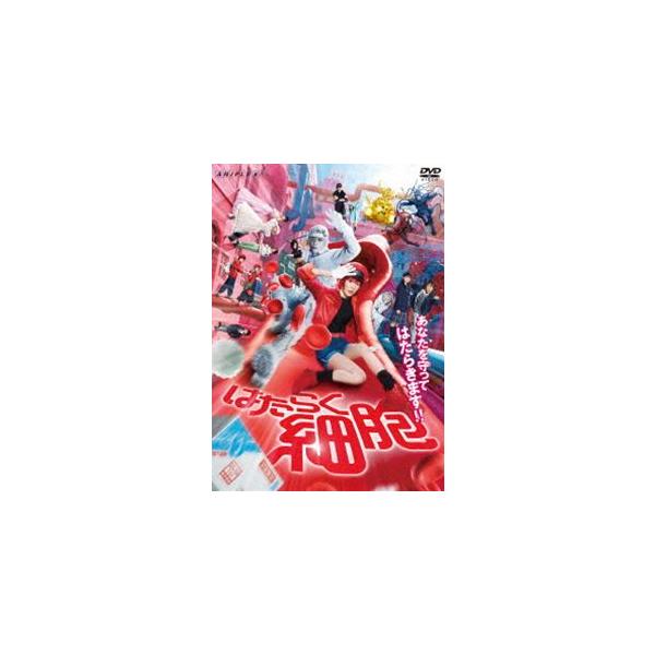 【発売日：2025年05月28日】種別:DVD 邦画コメディ 発売日:2025/05/28 販売元:アニプレックス 登録日:2025/04/01 永野芽郁 武内英樹 ハタラクサイボウ はたらく細胞 永野芽郁出演作品 佐藤健出演作品 芦田愛菜...