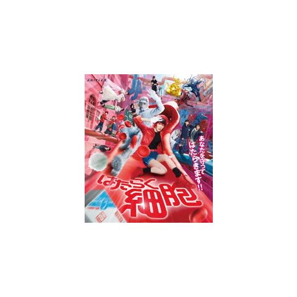 【発売日：2025年05月28日】種別:Blu-ray 邦画コメディ 発売日:2025/05/28 販売元:アニプレックス 登録日:2025/04/01 永野芽郁 武内英樹 ハタラクサイボウ はたらく細胞 永野芽郁出演作品 佐藤健出演作品 ...