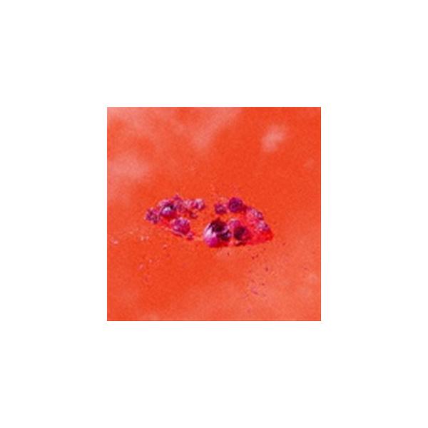 【発売日：2022年12月16日】種別:CD 洋楽クラブ/テクノ ※こちらの商品はインディーズ盤にて流通量が少なく、手配できない場合がございます 発売日:2022/12/16 販売元:ブリッジ 登録日:2022/12/07 Ami Dang...