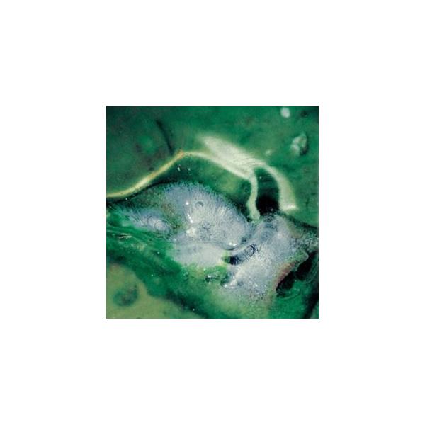 【発売日：2024年11月15日】種別:CD 洋楽クラブ/テクノ ※こちらの商品はインディーズ盤にて流通量が少なく、手配できない場合がございます 発売日:2024/11/15 販売元:ブリッジ 登録日:2024/11/08 Tristan ...
