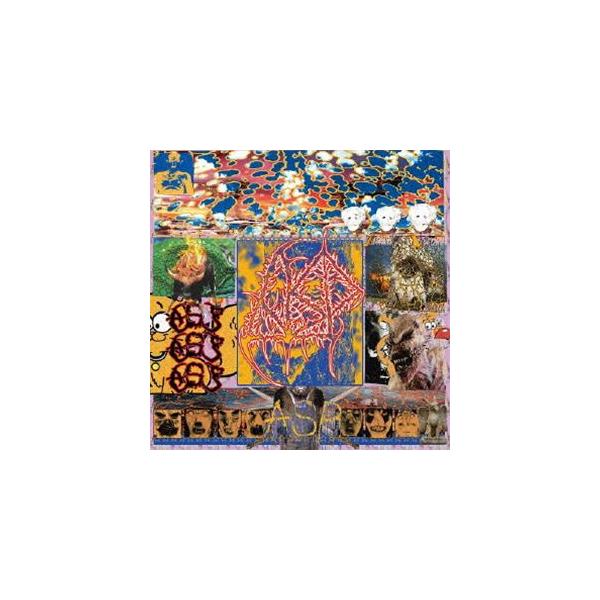 【発売日：2024年10月02日】種別:CD 邦楽J-POP 発売日:2024/10/02 販売元:エイベックス・ミュージック・クリエイティヴ 登録日:2024/05/08 ASP エーエスピー ターミナル ディズィーズ オブ エーエスピー...