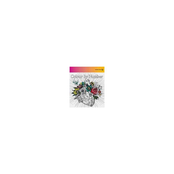 【発売日：2015年02月04日】種別:CD 邦楽J-POP 発売日:2015/02/04 販売元:エイベックス・ミュージック・クリエイティヴ 登録日:2014/09/15 MONKEY MAJIK モンキーマジック カラー バイ ナンバー...