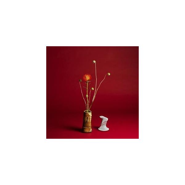 【発売日：2016年05月18日】種別:CD 邦楽クラブ/テクノ 発売日:2016/05/18 販売元:BEATINK 登録日:2016/04/12 Seiho