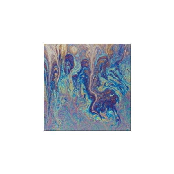 【発売日：2019年10月18日】種別:CD 洋楽クラブ/テクノ 発売日:2019/10/18 販売元:BEATINK 登録日:2019/09/04 フローティング・ポインツ フローティングポインツ クラッシュ 特典:解説付