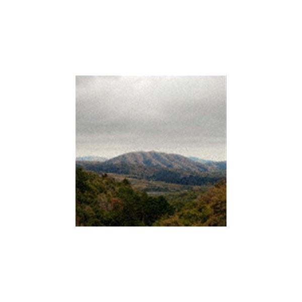 【発売日：2023年04月28日】種別:CD 洋楽ロック 発売日:2023/04/28 販売元:BEATINK 登録日:2023/03/08 ダーティー・プロジェクターズ＋ビョーク ダーティープロジェクターズ ビョーク マウント ウィッテン...