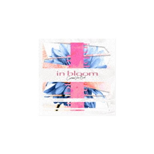 【発売日：2023年02月08日】種別:CD 邦楽J-POP ※こちらの商品はインディーズ盤にて流通量が少なく、手配できない場合がございます 発売日:2023/02/08 販売元:アドニス・スクウェア 登録日:2022/12/09 Care...