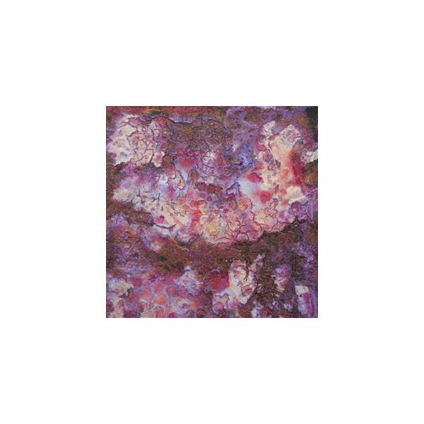 【発売日：2026年10月21日】種別:CD 邦楽ロック/ソウル ※こちらの商品はインディーズ盤にて流通量が少なく、手配できない場合がございます 発売日:2026/10/21 販売元:PCI MUSIC 登録日:2026/09/11 ドミコ...