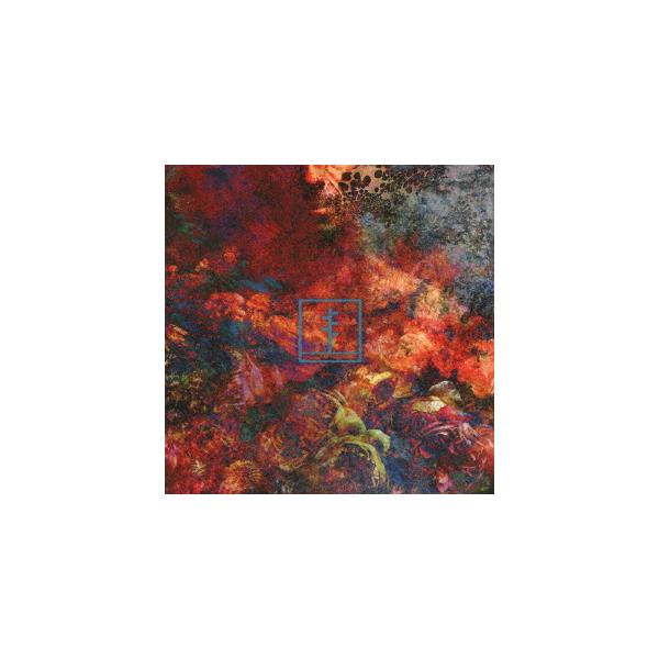 【発売日：2024年03月27日】種別:CD 洋楽ロック 発売日:2024/03/27 販売元:ディスクユニオン 登録日:2024/02/13 Frail Body フレイルボディ アーティフィシャル ブーケイ 特典:解説歌詞付 内容:スキ...