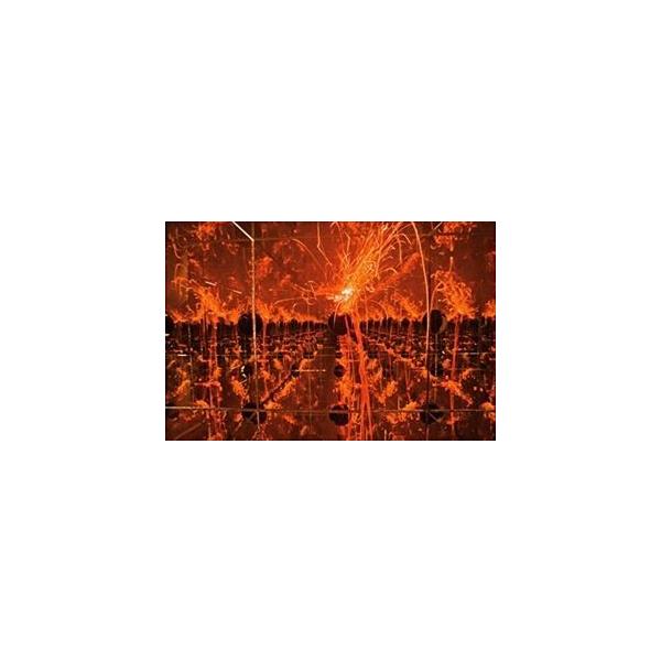 【発売日：2016年03月03日】種別:CD 洋楽ロック ※こちらの商品はインディーズ盤にて流通量が少なく、手配できない場合がございます 発売日:2016/03/03 販売元:ブリッジ 登録日:2016/01/28 ジョン・オブ・アーク ジ...