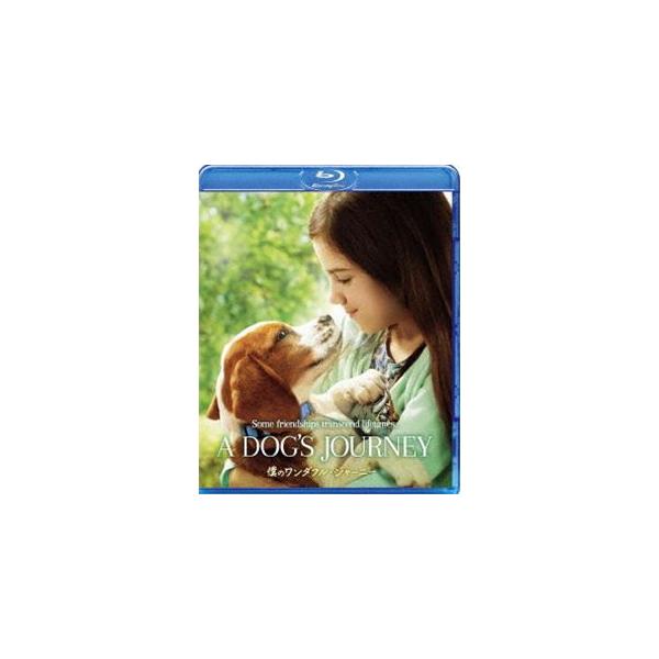 【発売日：2020年10月09日】種別:Blu-ray 洋画ファミリー 発売日:2020/10/09 販売元:NBCユニバーサル・エンターテイメントジャパン 登録日:2020/07/20 デニス・クエイド ゲイル・マンキューソ ボクノワンダ...