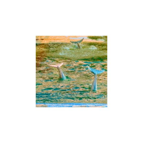 【発売日：2023年05月31日】種別:CD 邦楽J-POP ※こちらの商品はインディーズ盤にて流通量が少なく、手配できない場合がございます 発売日:2023/05/31 販売元:ブリッジ 登録日:2023/06/19 空間現代 クウカンゲ...