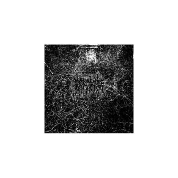 【発売日：2025年12月17日】種別:CD 洋楽ハードロック/ヘヴィメタル ※こちらの商品はインディーズ盤にて流通量が少なく、手配できない場合がございます 発売日:2025/12/17 販売元:ラッツパック・レコード 登録日:2025/1...