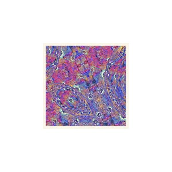 【発売日：2024年07月20日】種別:CD 洋楽クラブ/テクノ ※こちらの商品はインディーズ盤にて流通量が少なく、手配できない場合がございます 発売日:2024/07/20 販売元:ウルトラ・ヴァイヴ 登録日:2024/06/04 カルロ...