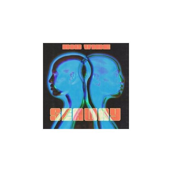 【発売日：2020年10月16日】種別:CD 洋楽ロック 発売日:2020/10/16 販売元:FABTONE 登録日:2020/09/24 Seaway シーウェイ ビッグ バイブ 特典:歌詞対訳付 解説:ＴＨＥ　ＳＴＯＲＹ　ＳＯ　ＦＡＲ...
