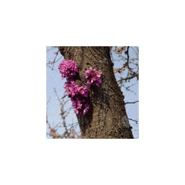 【発売日：2022年12月23日】種別:CD 洋楽クラブ/テクノ ※こちらの商品はインディーズ盤にて流通量が少なく、手配できない場合がございます 発売日:2022/12/23 販売元:インパートメント 登録日:2022/12/09 Duva...