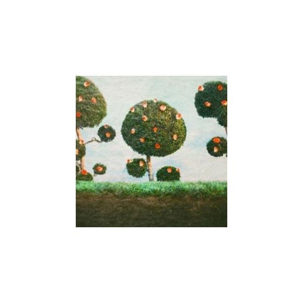 【発売日：2021年02月10日】種別:CD 洋楽ポップス ※こちらの商品はインディーズ盤にて流通量が少なく、手配できない場合がございます 発売日:2021/02/10 販売元:ウルトラ・ヴァイヴ 登録日:2020/12/04 MIDNIG...