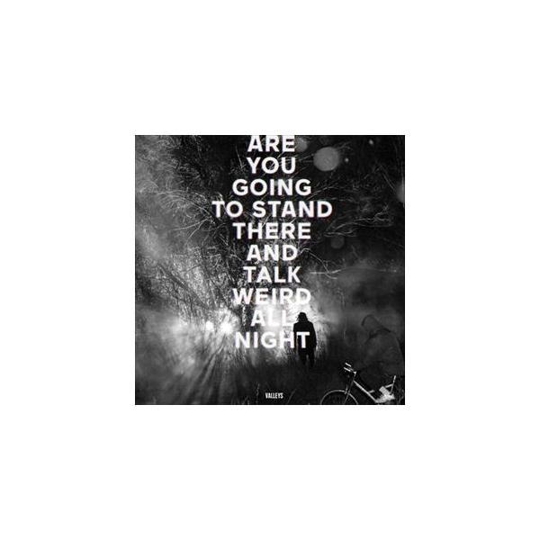 【発売日：2014年02月22日】種別:CD 洋楽ポップス ※こちらの商品はインディーズ盤にて流通量が少なく、手配できない場合がございます 発売日:2014/02/22 販売元:ウルトラ・ヴァイヴ 登録日:2014/02/10 ヴァレイズ ...