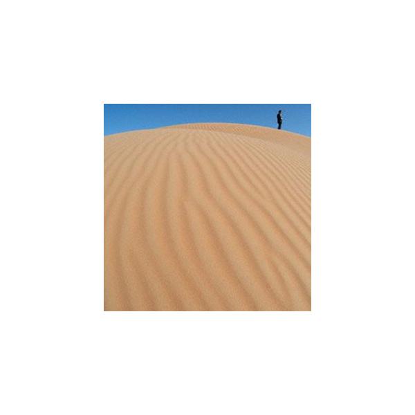 【発売日：2025年01月15日】種別:CD 邦楽ロック/ソウル 発売日:2025/01/15 販売元:ソニー・ミュージックソリューションズ 登録日:2024/10/30 立花ハジメ タチバナハジメ ハジメエイチティー 立花ハジメ CD M...