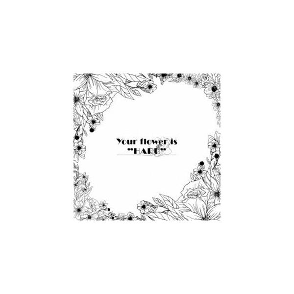 【発売日：2024年03月19日】種別:CD 邦楽J-POP ※こちらの商品はインディーズ盤にて流通量が少なく、手配できない場合がございます 発売日:2024/03/19 販売元:ダイキサウンド 登録日:2023/10/02 BOY MEE...