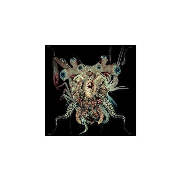 【発売日：2014年10月30日】種別:CD 洋楽クラブ/テクノ ※こちらの商品はインディーズ盤にて流通量が少なく、手配できない場合がございます 発売日:2014/10/30 販売元:ブリッジ 登録日:2014/10/29 ディージェイ・ス...