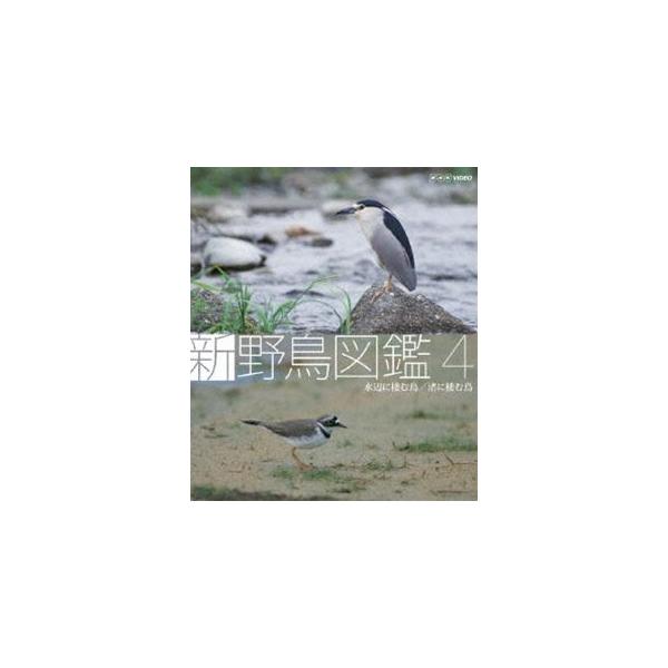 【発売日：2009年03月27日】種別:Blu-ray 趣味・教養動物 発売日:2009/03/27 販売元:NHKエンタープライズ 登録日:2009/01/28 ブルーレイ BD 特典:リーフレット 解説:日本で見られる野鳥を種別ごとに区...