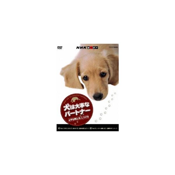 【発売日：2006年11月24日】種別:DVD 趣味・教養動物 発売日:2006/11/24 販売元:NHKエンタープライズ 登録日:2006/08/25 菊池麻衣子 NHK趣味悠々 内容:パート1 犬のことを知っていますか?〜基本を覚えよ...