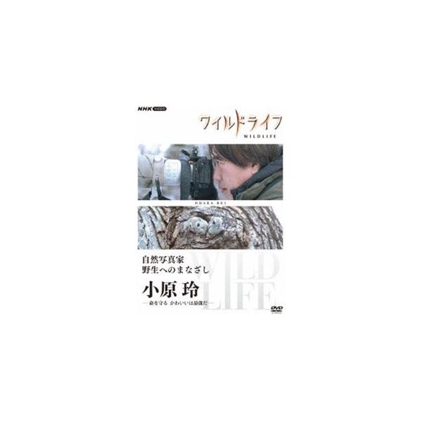 【発売日：2022年07月22日】種別:DVD 国内TVドキュメンタリー 発売日:2022/07/22 販売元:NHKエンタープライズ 登録日:2022/04/28 小原玲 ワイルドライフシゼンシャシンカヤセイヘノマナザシオハラレイ NHK...