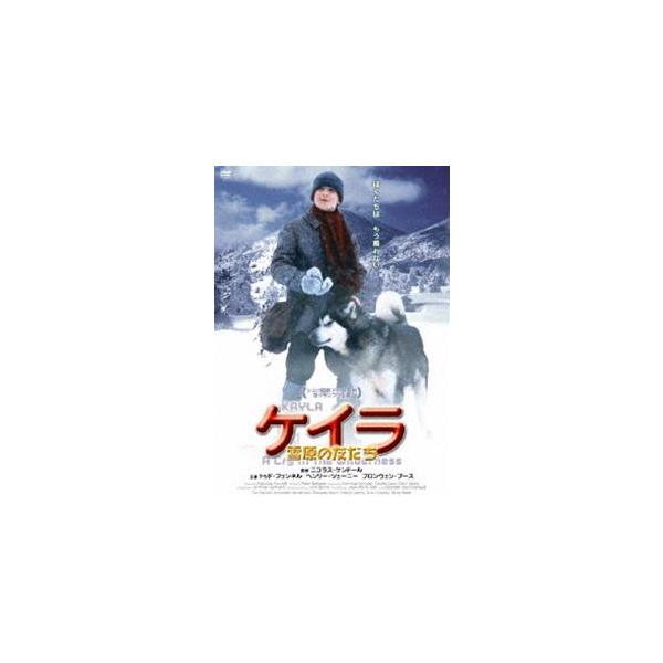 【発売日：2008年08月09日】種別:DVD 洋画ファミリー 発売日:2008/08/09 販売元:ビーエムドットスリー 登録日:2008/06/03 解説:シカゴ国際子供映画祭準グランプリ受賞作。犬と少年の心温まる交流が凍えた家族との関...