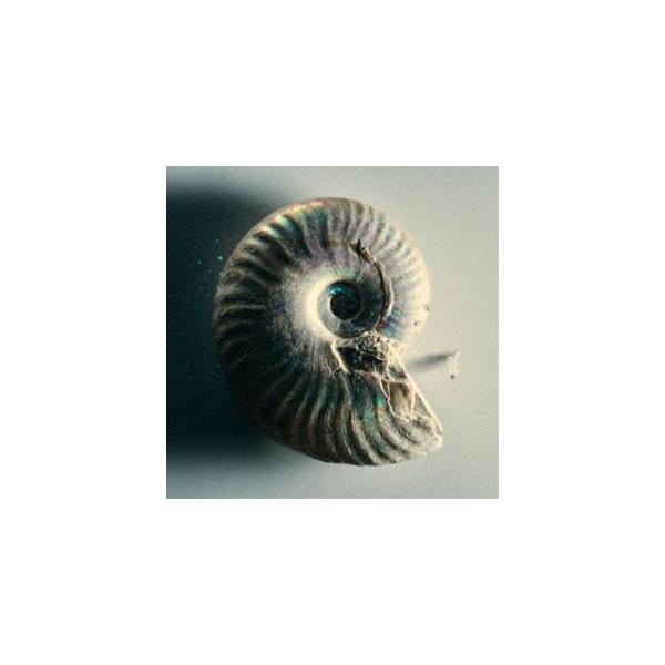 【発売日：2026年07月29日】種別:CD 邦楽ロック/ソウル ※こちらの商品はインディーズ盤にて流通量が少なく、手配できない場合がございます 発売日:2026/07/29 販売元:ウルトラ・ヴァイヴ 登録日:2026/06/01 Nen...