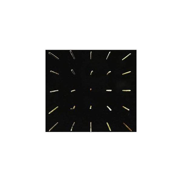 【発売日：2019年11月13日】種別:CD 洋楽ラップ/ヒップホップ ※こちらの商品はインディーズ盤にて流通量が少なく、手配できない場合がございます 発売日:2019/11/13 販売元:ウルトラ・ヴァイヴ 登録日:2019/11/11 ...