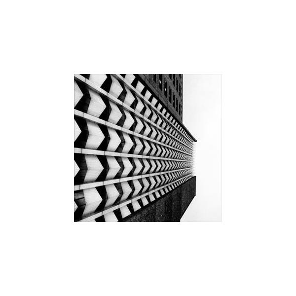 【発売日：2012年08月22日】種別:CD 洋楽クラブ/テクノ ※こちらの商品はインディーズ盤にて流通量が少なく、手配できない場合がございます 発売日:2012/08/22 販売元:ウルトラ・ヴァイヴ 登録日:2012/09/07 サイレ...