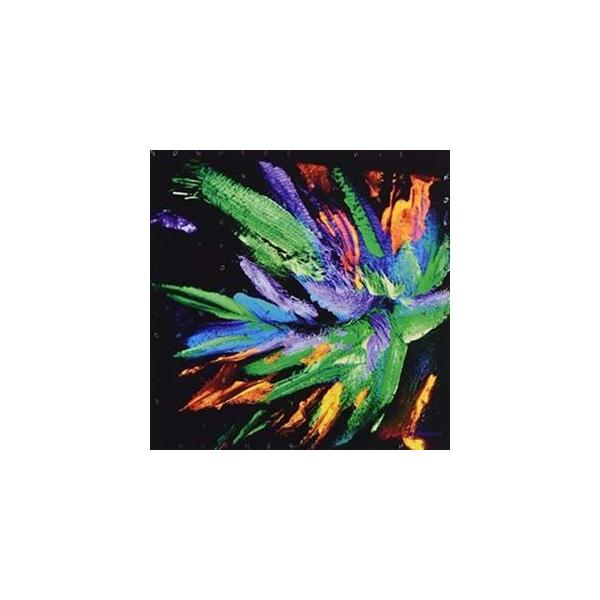 【発売日：2020年10月24日】種別:CD 洋楽クラブ/テクノ ※こちらの商品はインディーズ盤にて流通量が少なく、手配できない場合がございます 発売日:2020/10/24 販売元:ウルトラ・ヴァイヴ 登録日:2020/10/02 Kol...