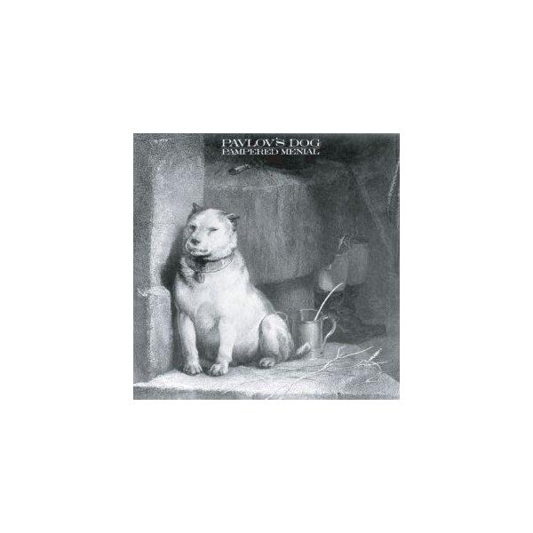 【発売日：2020年05月20日】種別:CD 洋楽ロック ※こちらの商品はインディーズ盤にて流通量が少なく、手配できない場合がございます 発売日:2020/05/20 販売元:ウルトラ・ヴァイヴ 登録日:2020/04/01 パブロフス・ド...