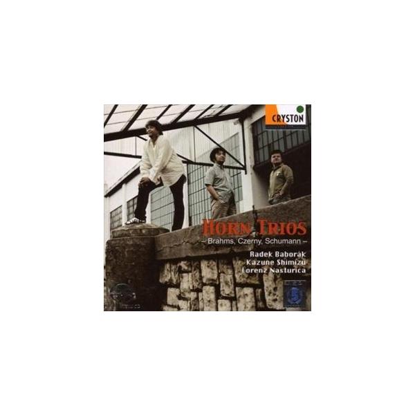 【発売日：2006年12月31日】種別:CD クラシック管弦楽曲 ※こちらの商品はインディーズ盤にて流通量が少なく、手配できない場合がございます 発売日:2006/12/31 販売元:インディーズメーカー 登録日:2007/12/26 ラデ...