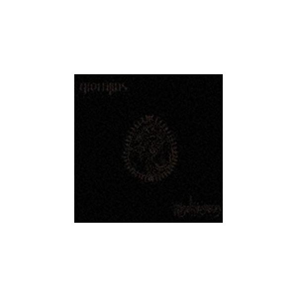 【発売日：2019年02月13日】種別:CD 邦楽ロック/ソウル ※こちらの商品はインディーズ盤にて流通量が少なく、手配できない場合がございます 発売日:2019/02/13 販売元:ダイキサウンド 登録日:2018/12/21 GREML...