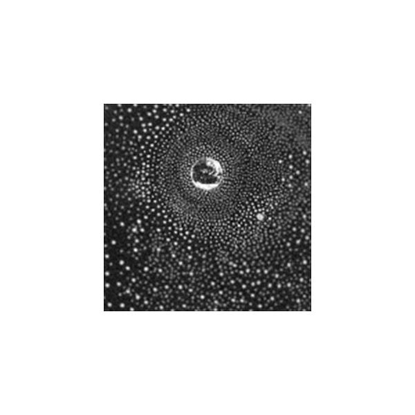 【発売日：2018年04月25日】種別:CD 邦楽J-POP ※こちらの商品はインディーズ盤にて流通量が少なく、手配できない場合がございます 発売日:2018/04/25 販売元:ピーヴァイン 登録日:2018/01/30 GONNO × ...