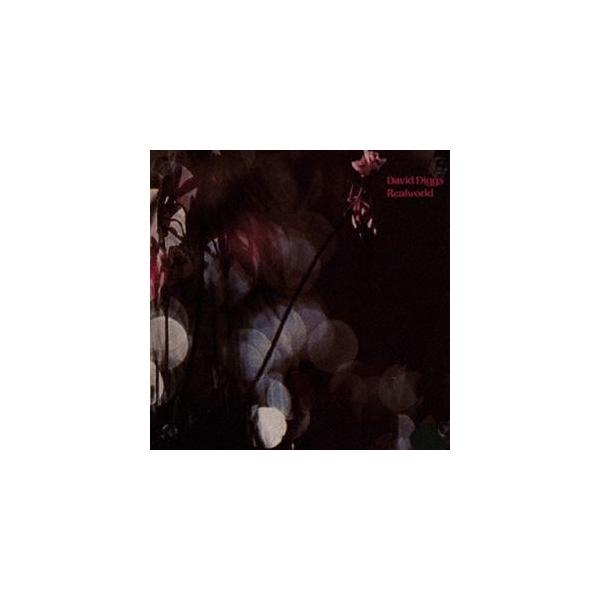 【発売日：2024年07月10日】種別:CD 洋楽ポップス ※こちらの商品はインディーズ盤にて流通量が少なく、手配できない場合がございます 発売日:2024/07/10 販売元:ピーヴァイン 登録日:2024/05/10 デヴィッド・ディグ...