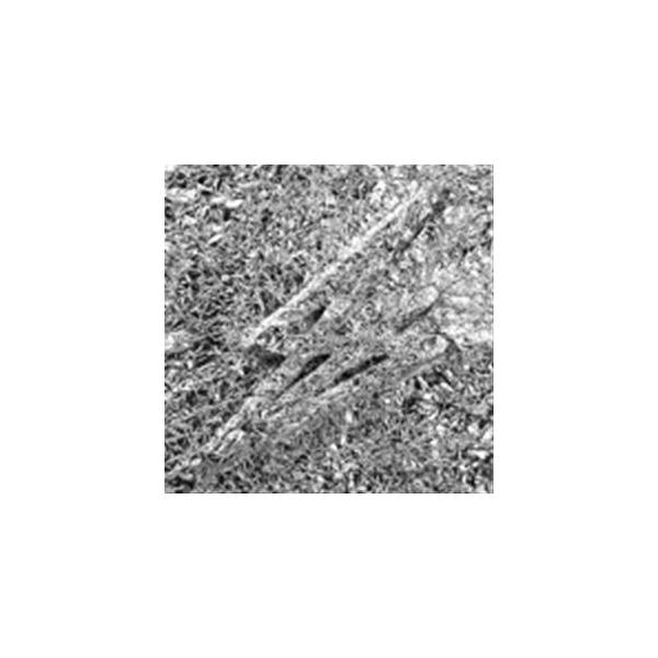 【発売日：2023年10月18日】種別:CD 洋楽ソウル/R&amp;B ※こちらの商品はインディーズ盤にて流通量が少なく、手配できない場合がございます 発売日:2023/10/18 販売元:ピーヴァイン 登録日:2023/08/14 セイ...