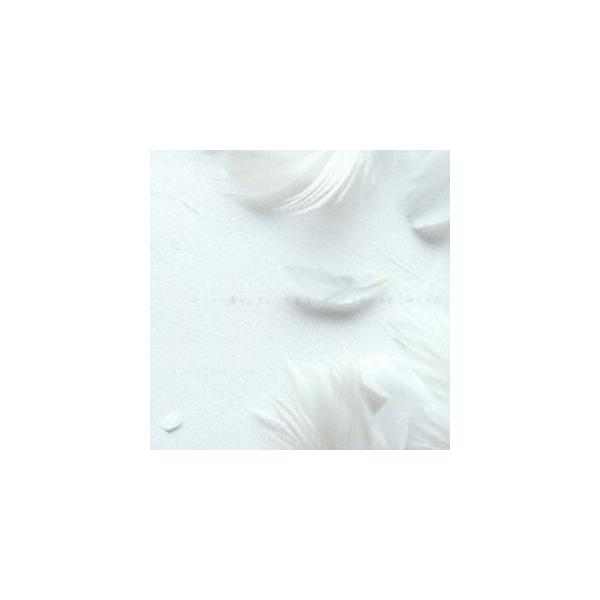 【発売日：2025年11月18日】種別:CD 邦楽J-POP 発売日:2025/11/18 販売元:コロムビア・マーケティング 登録日:2025/09/16 アブソプ アブソプ ボクノシンゾウガトマッテモサイゴニキットキミノナマエヲヨブンダ...