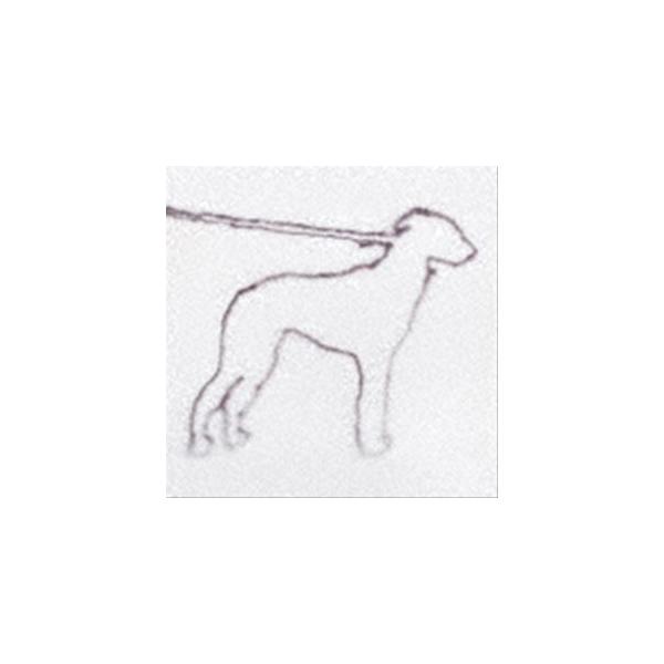 【発売日：2023年03月08日】種別:CD 洋楽ポップス 発売日:2023/03/08 販売元:ランブリング・レコーズ 登録日:2023/02/07 Jonah Yano ジョナヤノ ポートレイト オブ ア ドッグ 特典:解説付 内容:l...