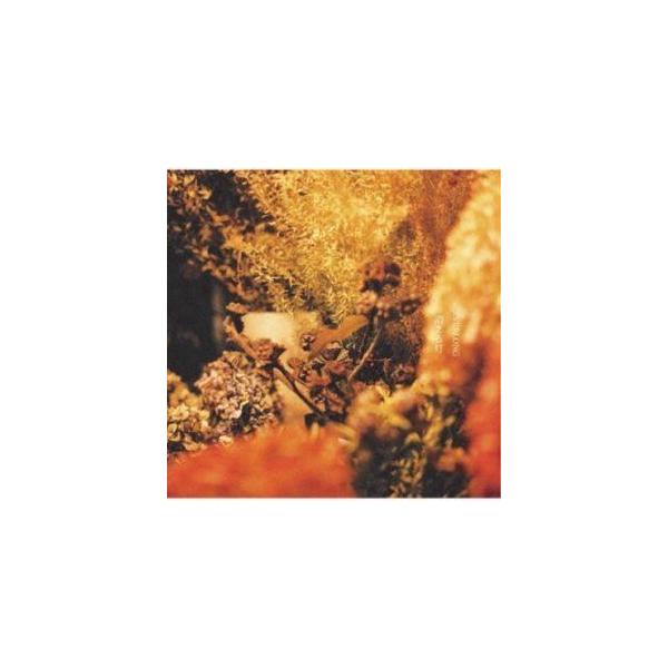 【発売日：2019年06月05日】種別:CD 邦楽ロック/ソウル 発売日:2019/06/05 販売元:エル・ディー・アンド・ケイ 登録日:2019/04/11 EVERLONG エバーロング キエルヒ 内容:ナツメ／深呼吸／透明になってく...