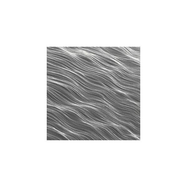 【発売日：2026年02月27日】種別:CD 洋楽ロック ※こちらの商品はインディーズ盤にて流通量が少なく、手配できない場合がございます 発売日:2026/02/27 販売元:ウルトラ・ヴァイヴ 登録日:2026/02/03 WHITELA...