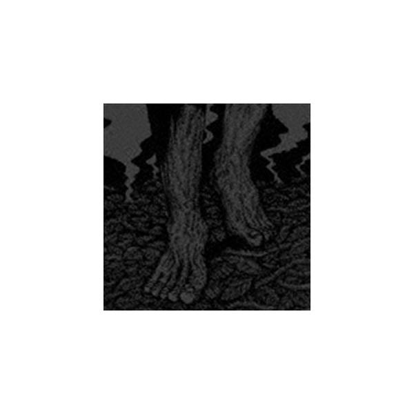 【発売日：2014年10月08日】種別:CD 邦楽ロック/ソウル 発売日:2014/10/08 販売元:スペースシャワーネットワーク 登録日:2014/07/28 THORN ソーン トゲ トキニクノウ 内容:St Anger／ハニーマスタ...