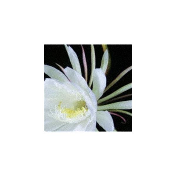 【発売日：2019年04月10日】種別:CD 邦楽ロック/ソウル ※こちらの商品はインディーズ盤にて流通量が少なく、手配できない場合がございます 発売日:2019/04/10 販売元:ダイキサウンド 登録日:2019/03/04 postm...