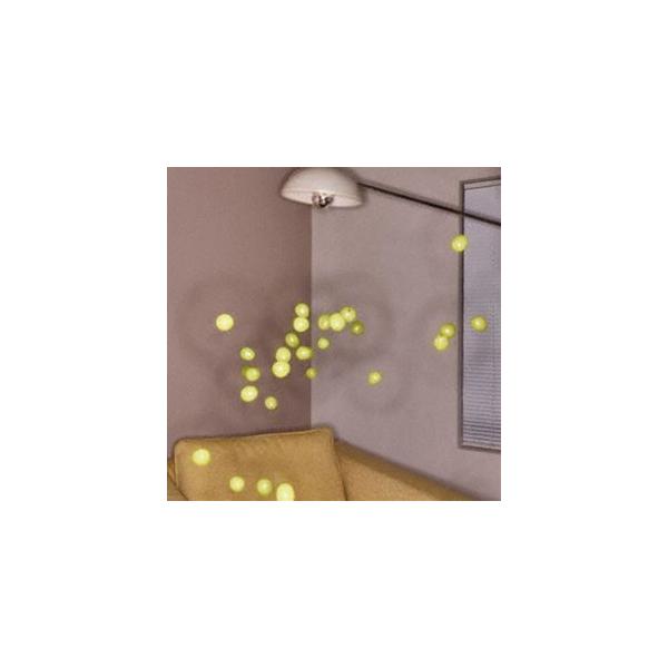 【発売日：2024年12月18日】種別:CD 邦楽J-POP 発売日:2024/12/18 販売元:エイベックス・ミュージック・クリエイティヴ 登録日:2024/10/24 土岐麻子 トキアサコ ロンリー ゴースト 土岐麻子 CD 内容:Q...