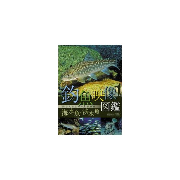 【発売日：2008年12月29日】種別:DVD 趣味・教養動物 発売日:2008/12/29 販売元:シンフォレスト 登録日:2008/11/05 解説:海水魚・淡水魚から人気のある釣魚のほか、釣りの対象として人気の高いイカ・タコを加えたD...