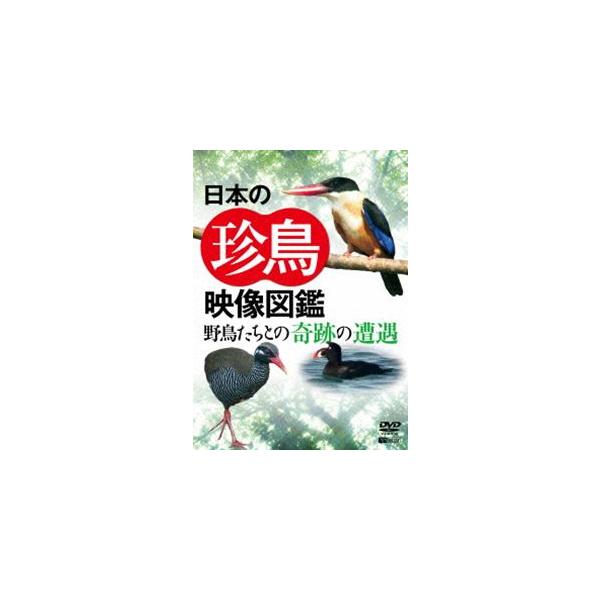 【発売日：2009年08月27日】種別:DVD 趣味・教養動物 発売日:2009/08/27 販売元:シンフォレスト 登録日:2009/06/09 解説:一生に一度逢えるかどうかも分からない、まさに“逢えたら奇跡”の珍しい鳥たちを一緒に収録...