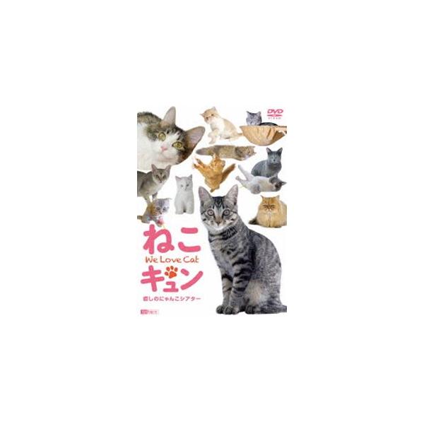 【発売日：2017年04月06日】種別:DVD 趣味・教養動物 発売日:2017/04/06 販売元:シンフォレスト 登録日:2017/02/03 解説:垂れ耳スコ、ぶさかわエキゾ、もふもふペルシャ、小さな妖精シンガプーラ、ぬいぐるみのよう...